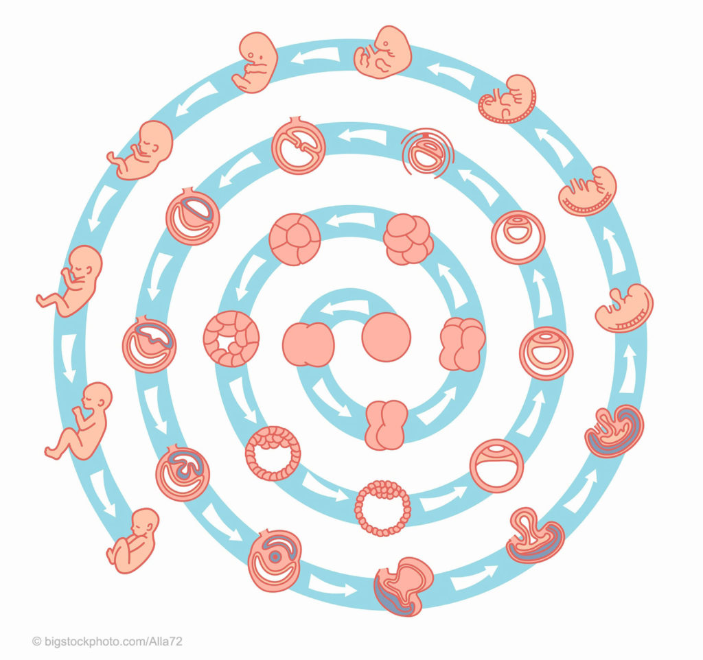 Human Embryos-People or Property? - DOES GOD EXIST? TODAY