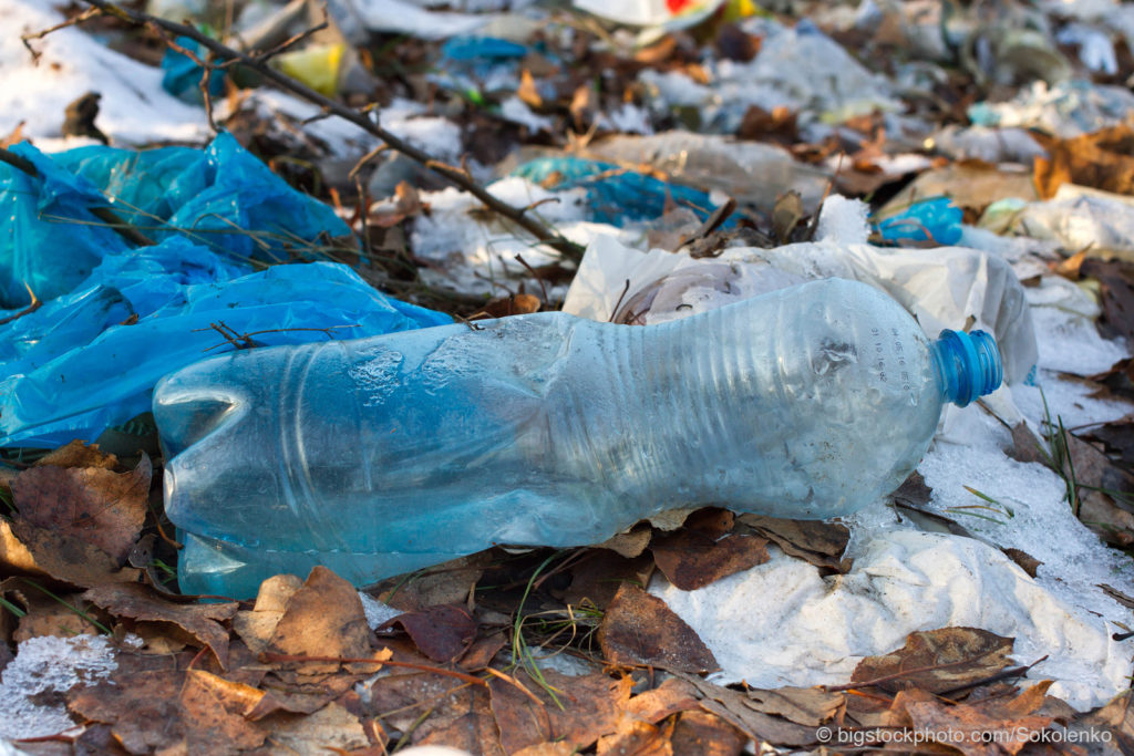 Plastic-Eating Worms - DOES GOD EXIST? TODAY