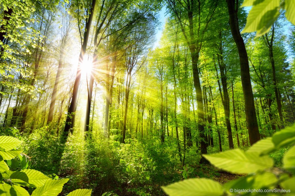A Poem Lovely as a Tree - DOES GOD EXIST? TODAY