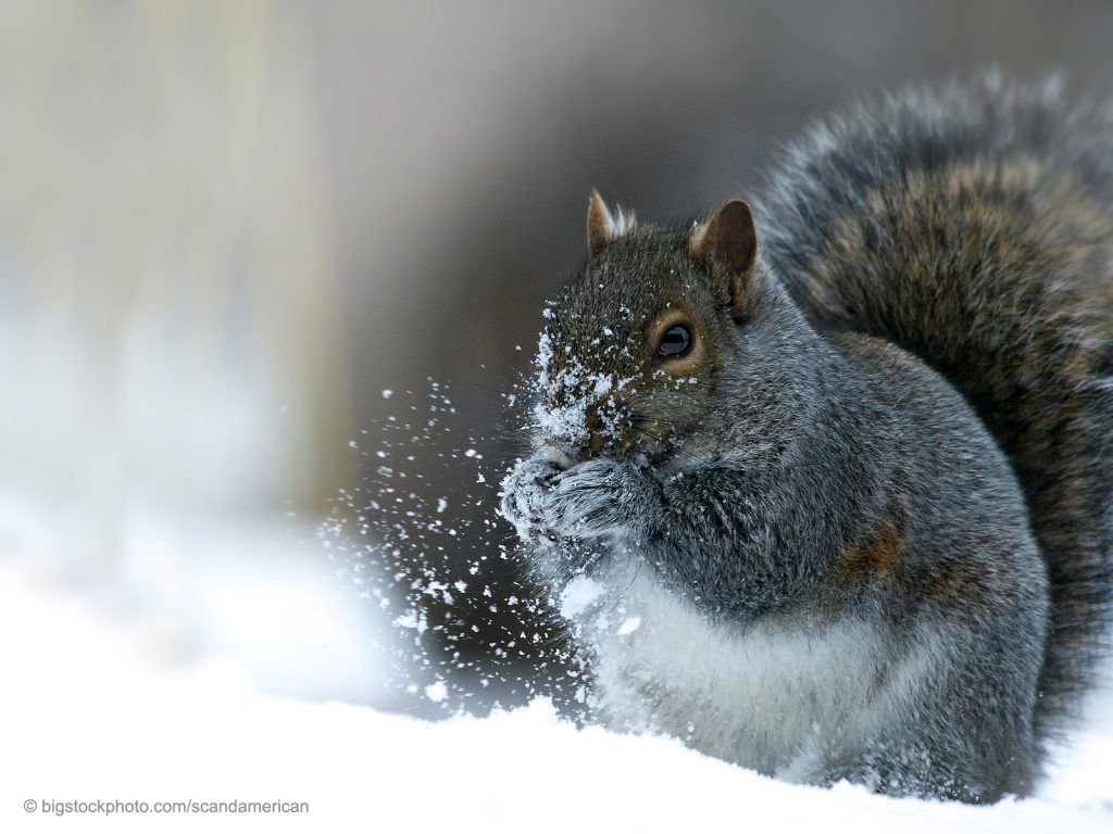 Shivering in the Cold - DOES GOD EXIST? TODAY