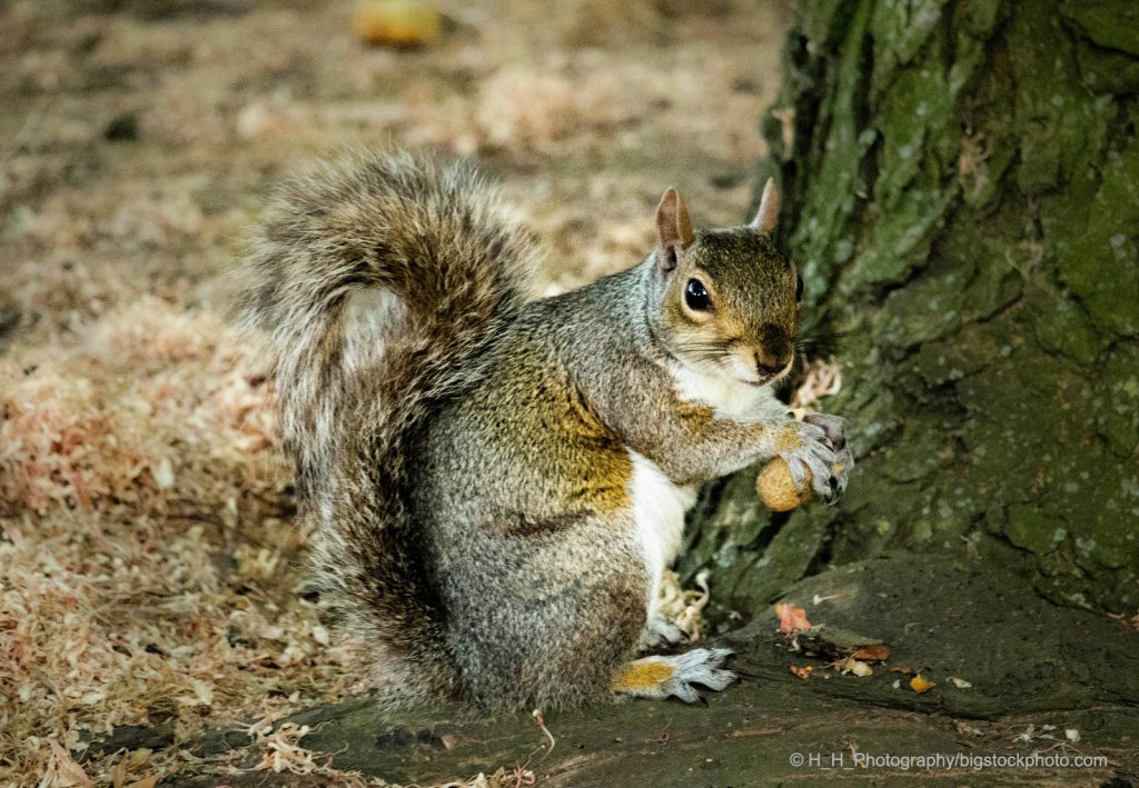 Design of Symbiosis - DOES GOD EXIST? TODAY