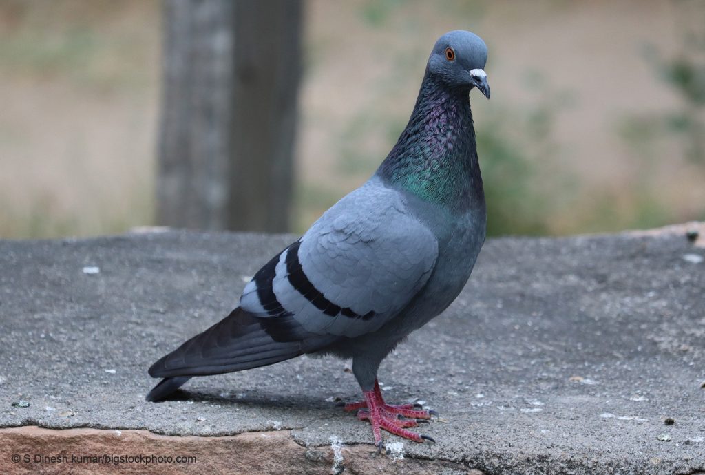 God Positioning System and What it Means - DOES GOD EXIST? TODAY