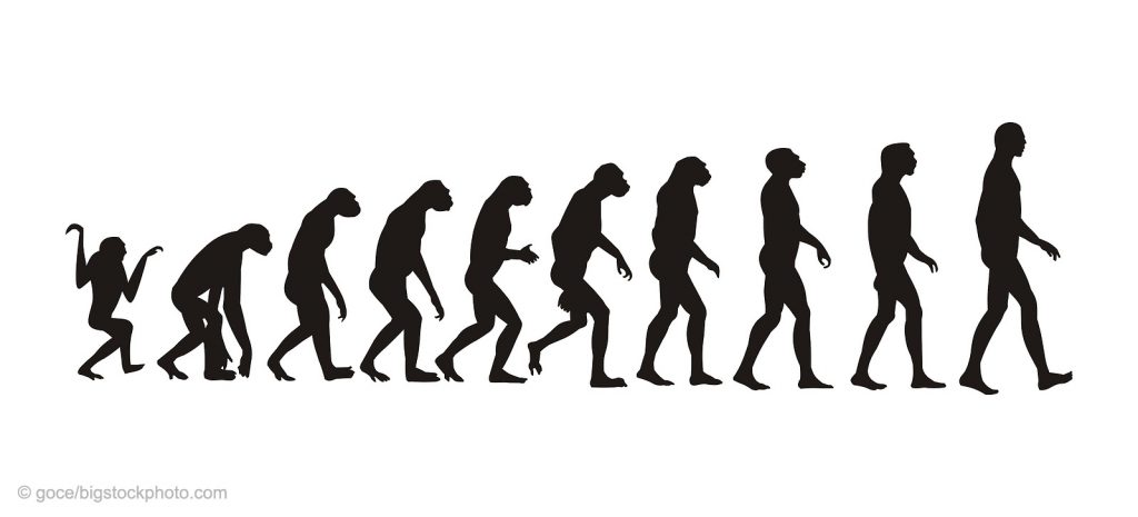 Fossil Apes and Human Evolution - DOES GOD EXIST? TODAY