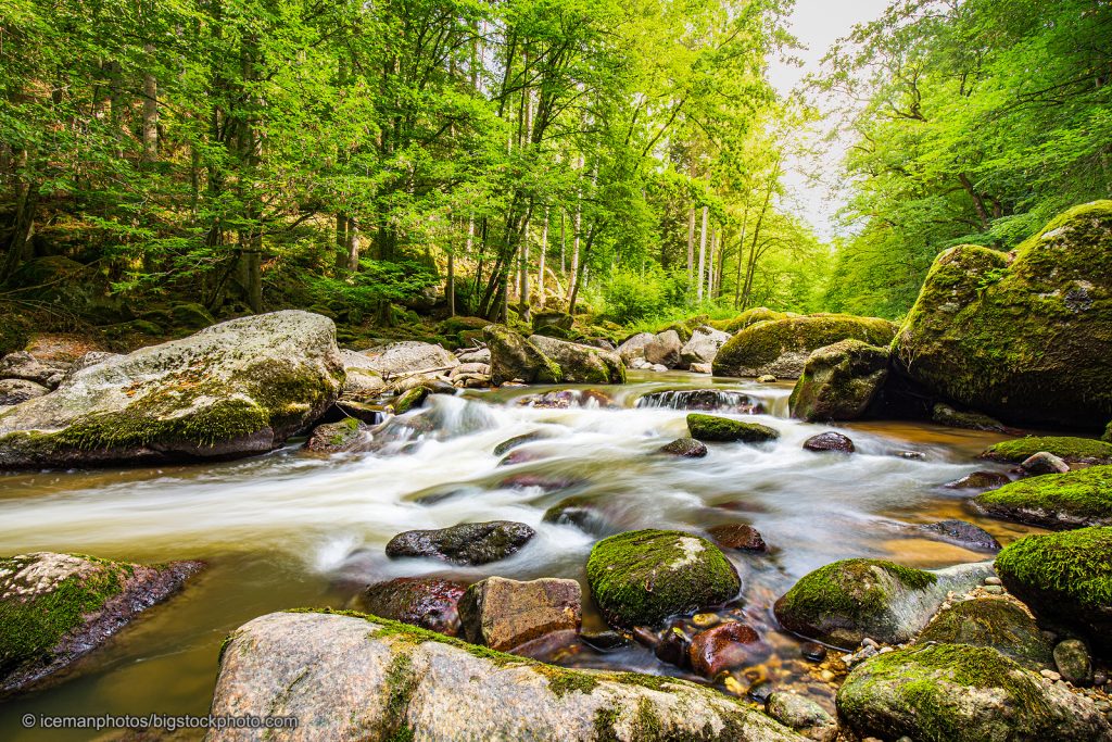 Soil Derived from Barren Rock - DOES GOD EXIST? TODAY