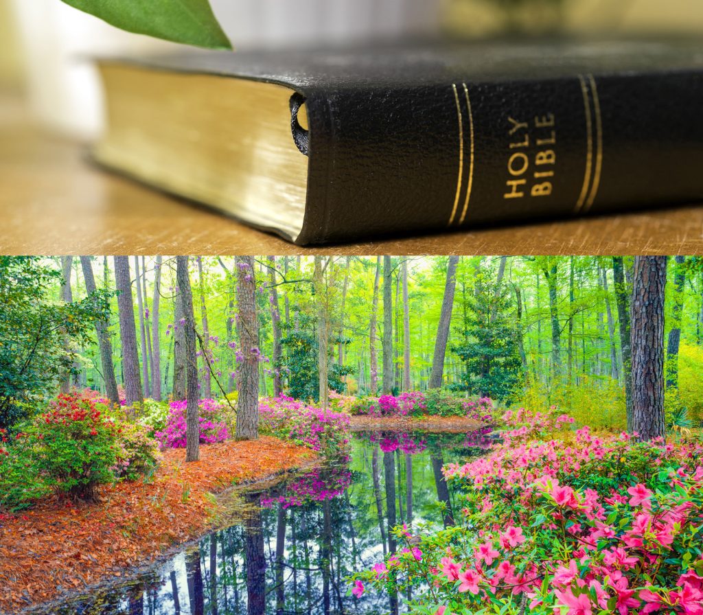God Created Two Books - DOES GOD EXIST? TODAY