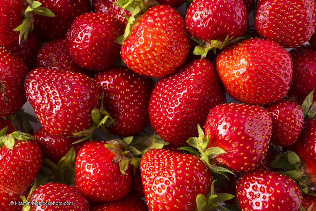 Foods Derived from Flowers Need Auxin - DOES GOD EXIST? TODAY