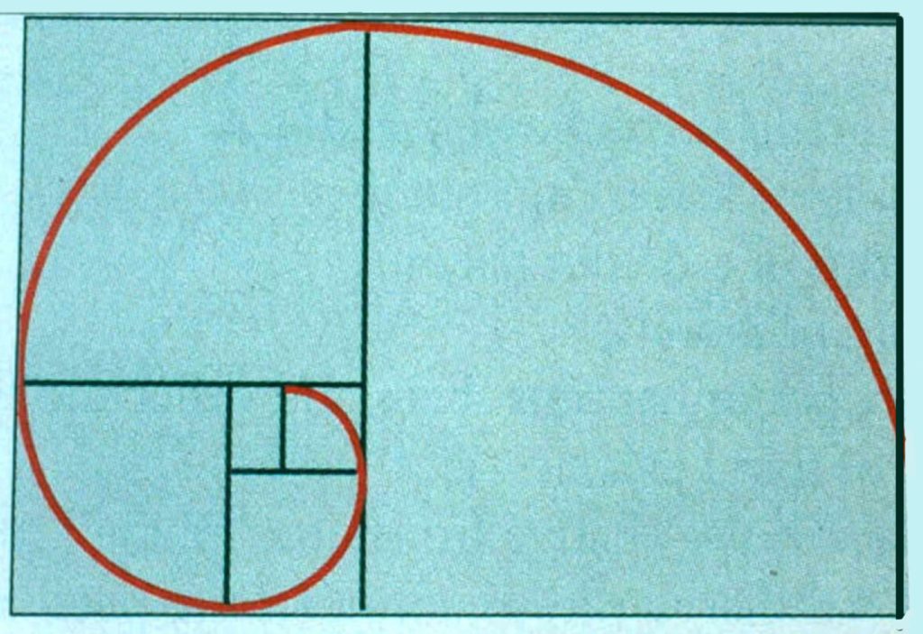 Observing Fibonacci Day - DOES GOD EXIST? TODAY