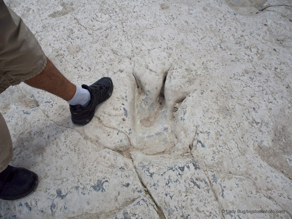 Dinosaur Tracks and Human Tracks - DOES GOD EXIST? TODAY