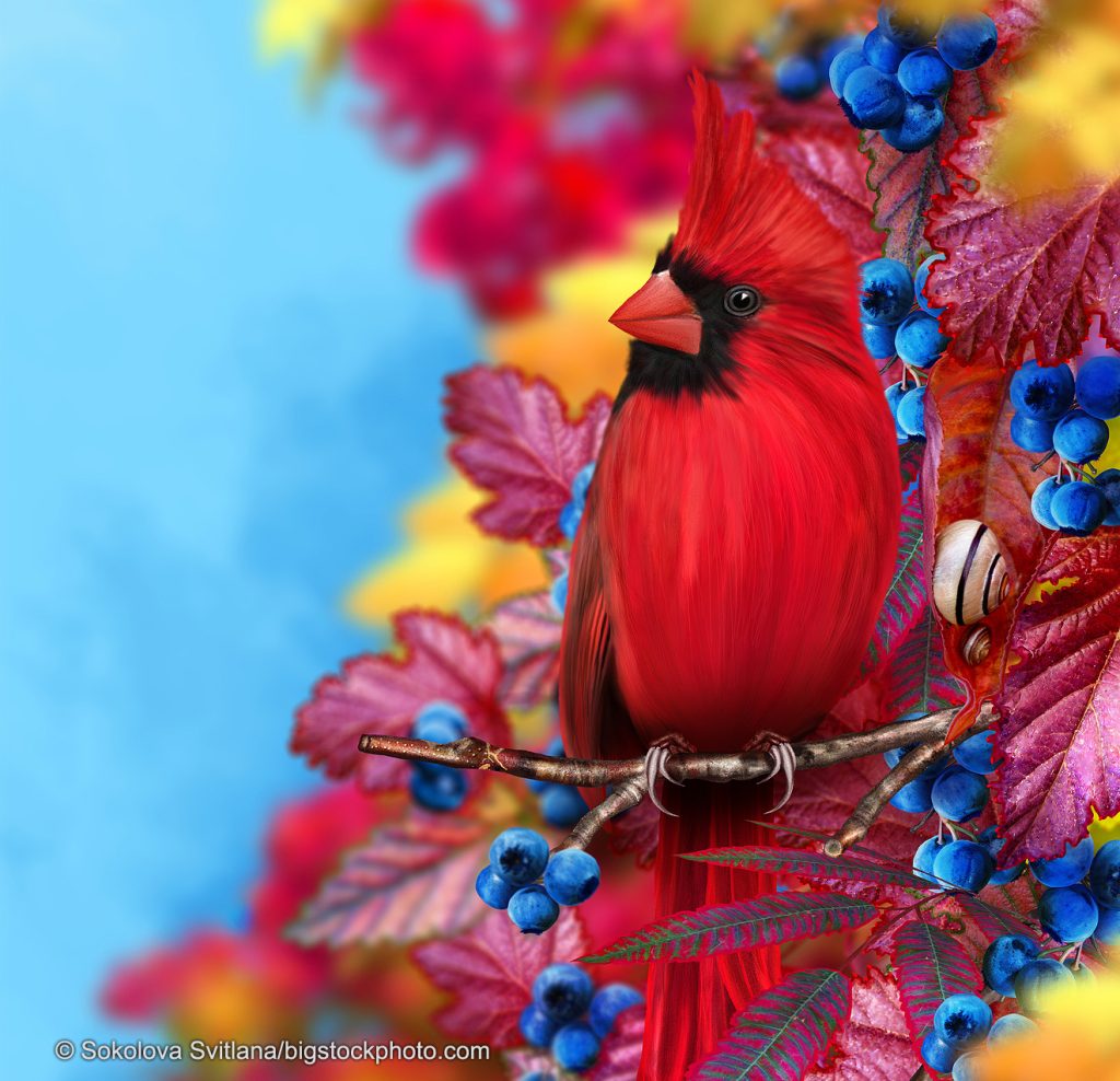 Incredible Color in Birds and Trees - DOES GOD EXIST? TODAY