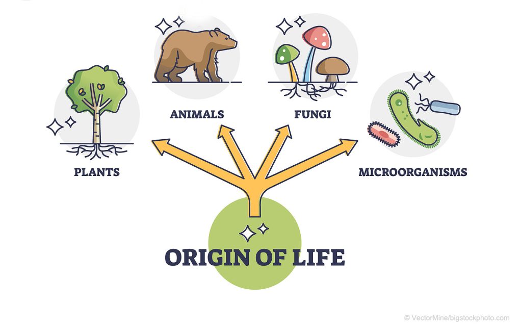 The Origin of Life on Planet Earth - DOES GOD EXIST? TODAY