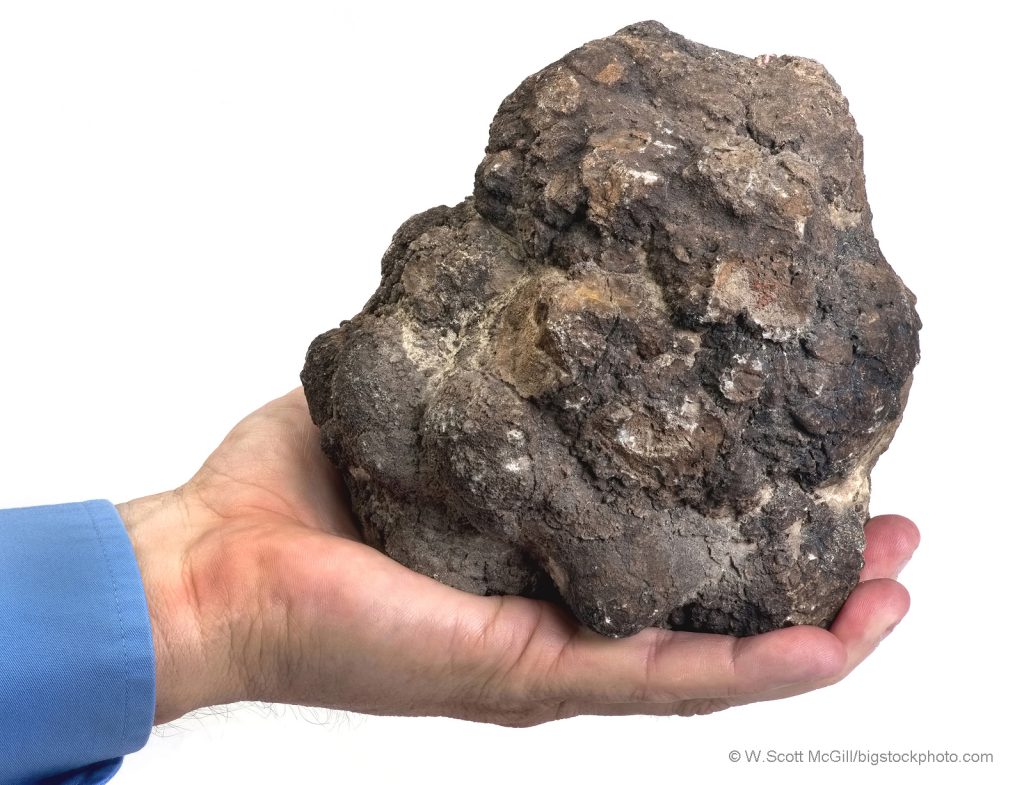 Coprolites Teach Us About the Past - DOES GOD EXIST? TODAY