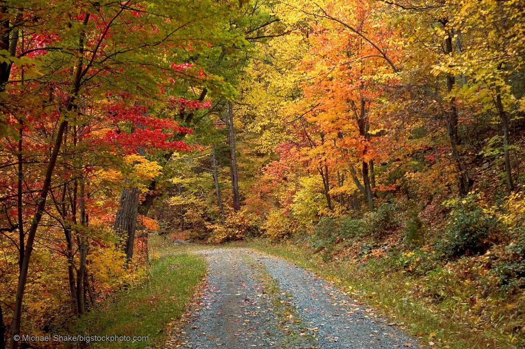 The Beauty of Fall Colors - DOES GOD EXIST? TODAY