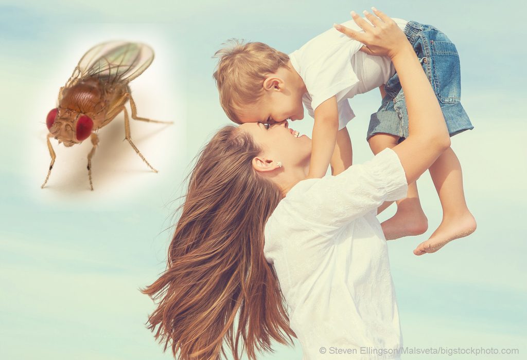 Fruit Flies and Humans - DOES GOD EXIST? TODAY