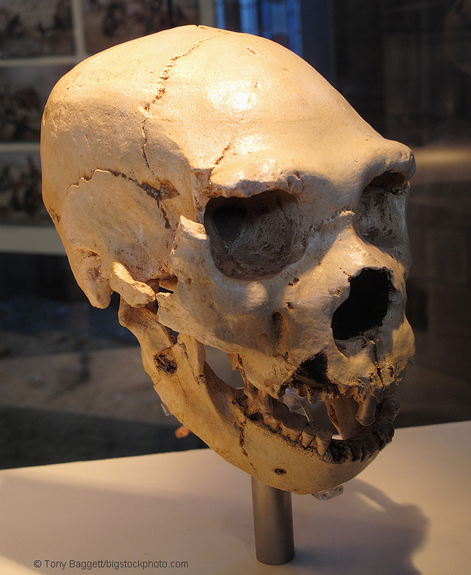 Neanderthal DNA and Humans - DOES GOD EXIST? TODAY