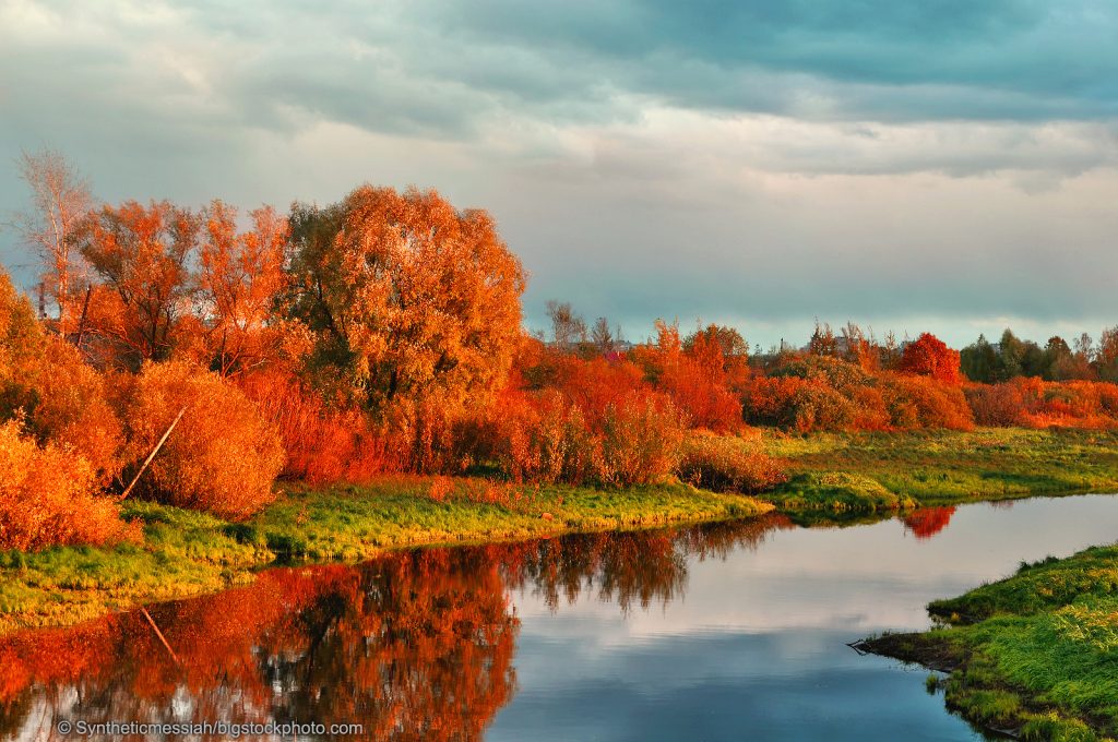 Inside a Tree Trunk - DOES GOD EXIST? TODAY