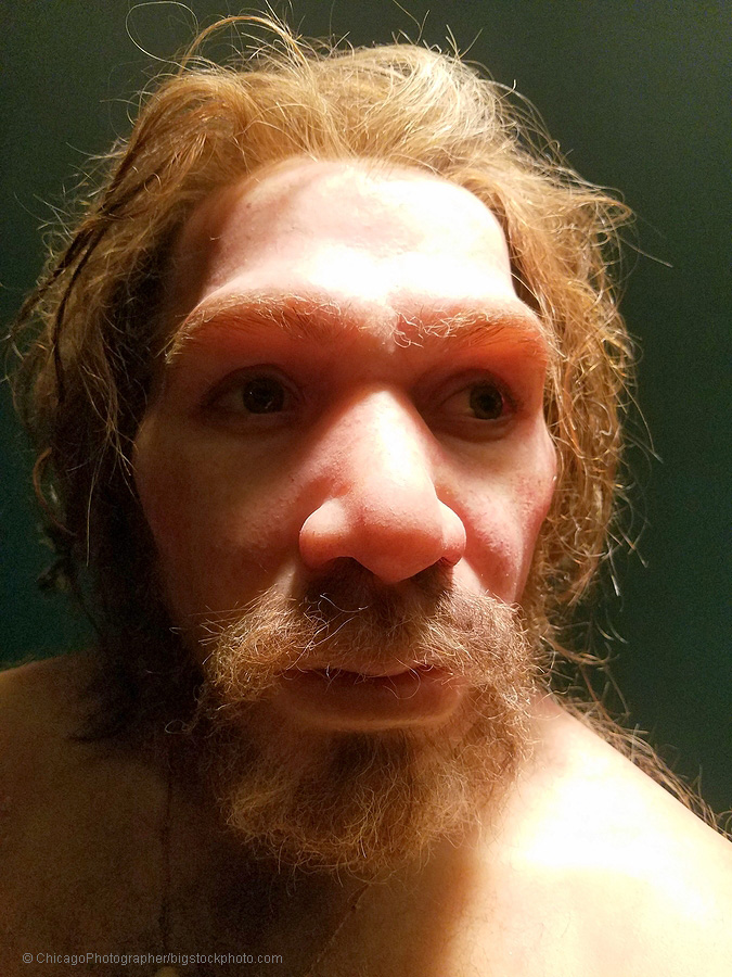 Clarifying the Neanderthal Description - DOES GOD EXIST? TODAY
