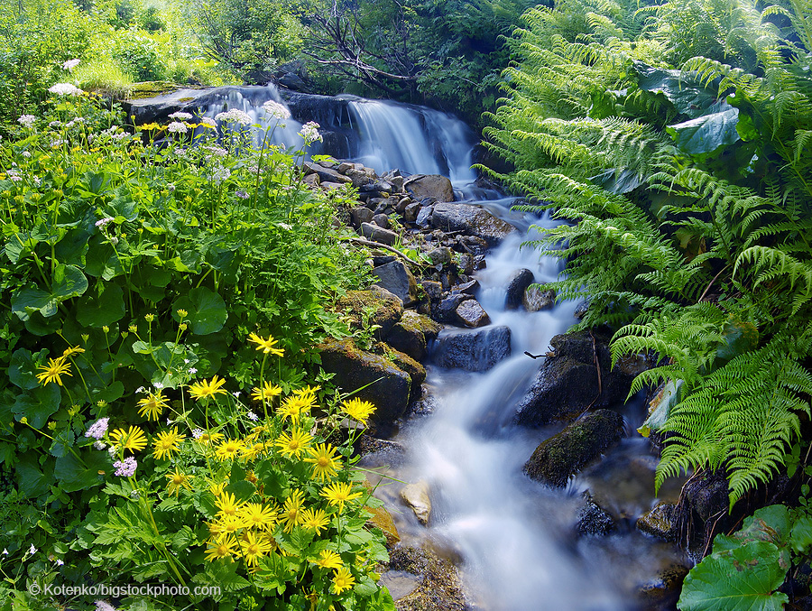 Water Stewardship in America - DOES GOD EXIST? TODAY